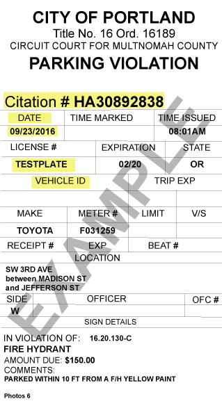 Parking Ticket Sample